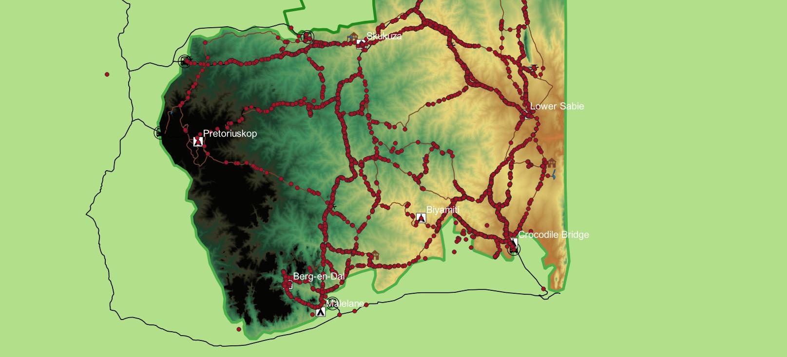 Where to Spot Southern Ground Hornbills in Kruger