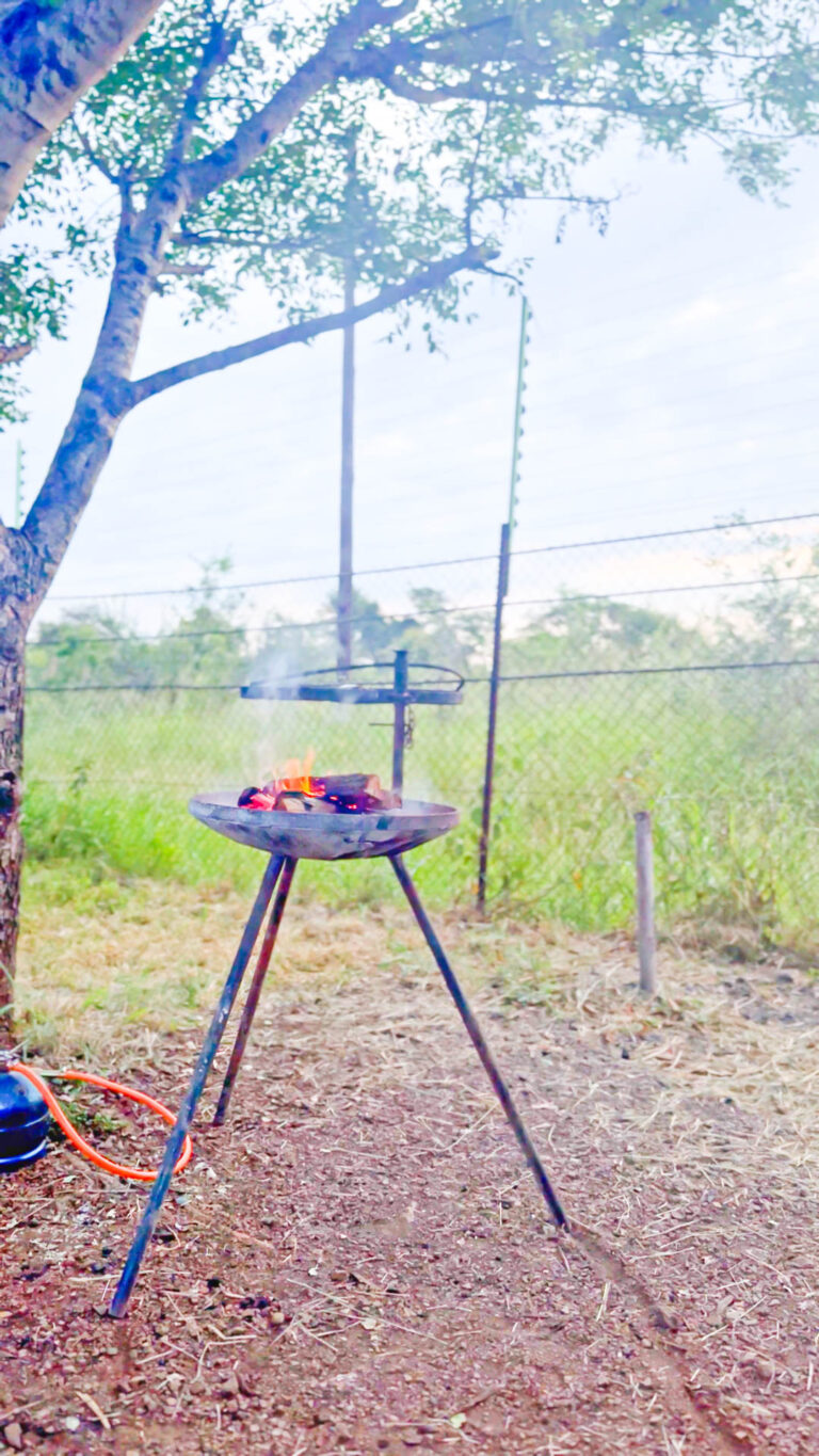 Campers Get a Visit From Lions and Cubs While Braaing