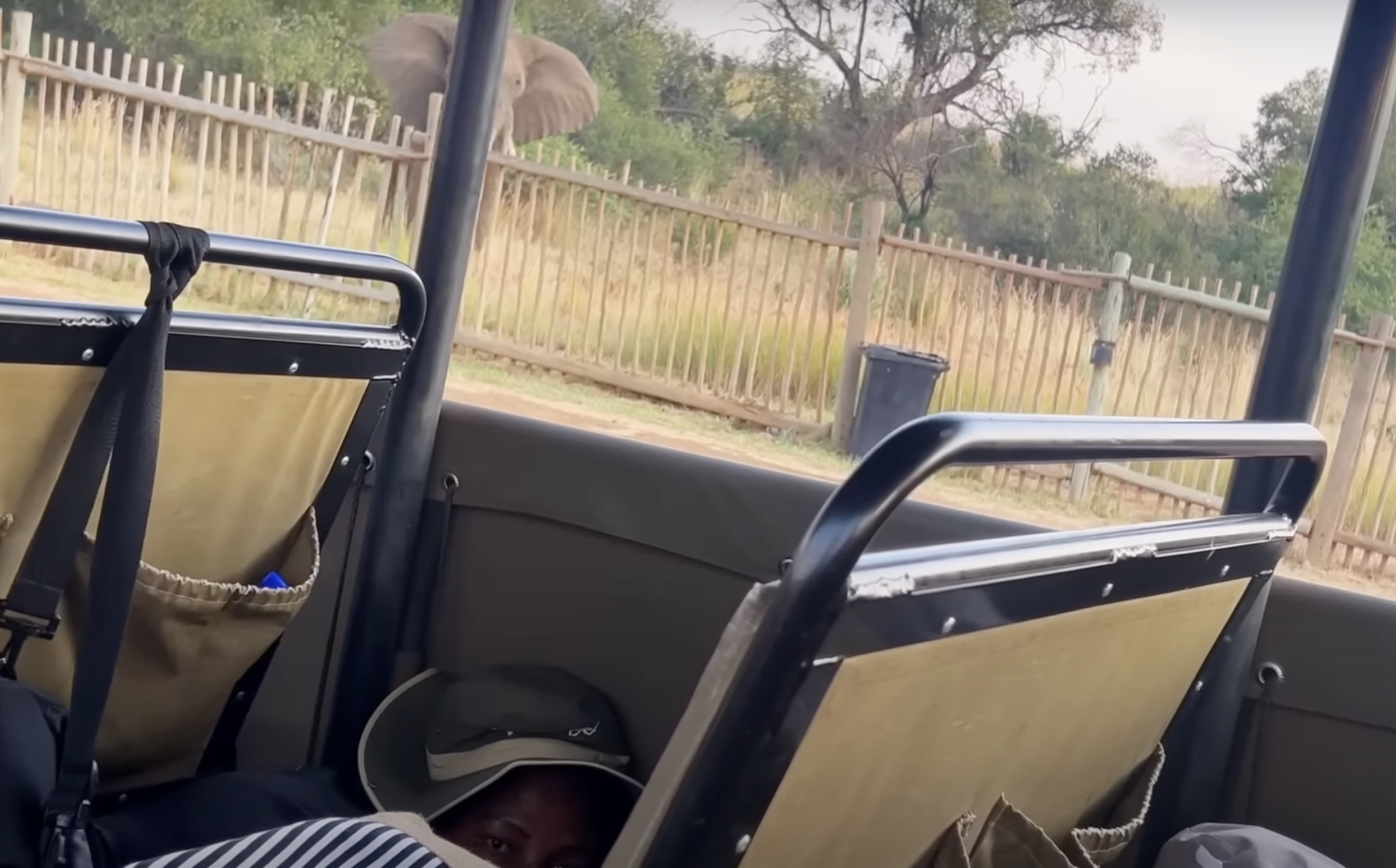 Watch Elephant Pick Up A Truck Load Full Of Tourists