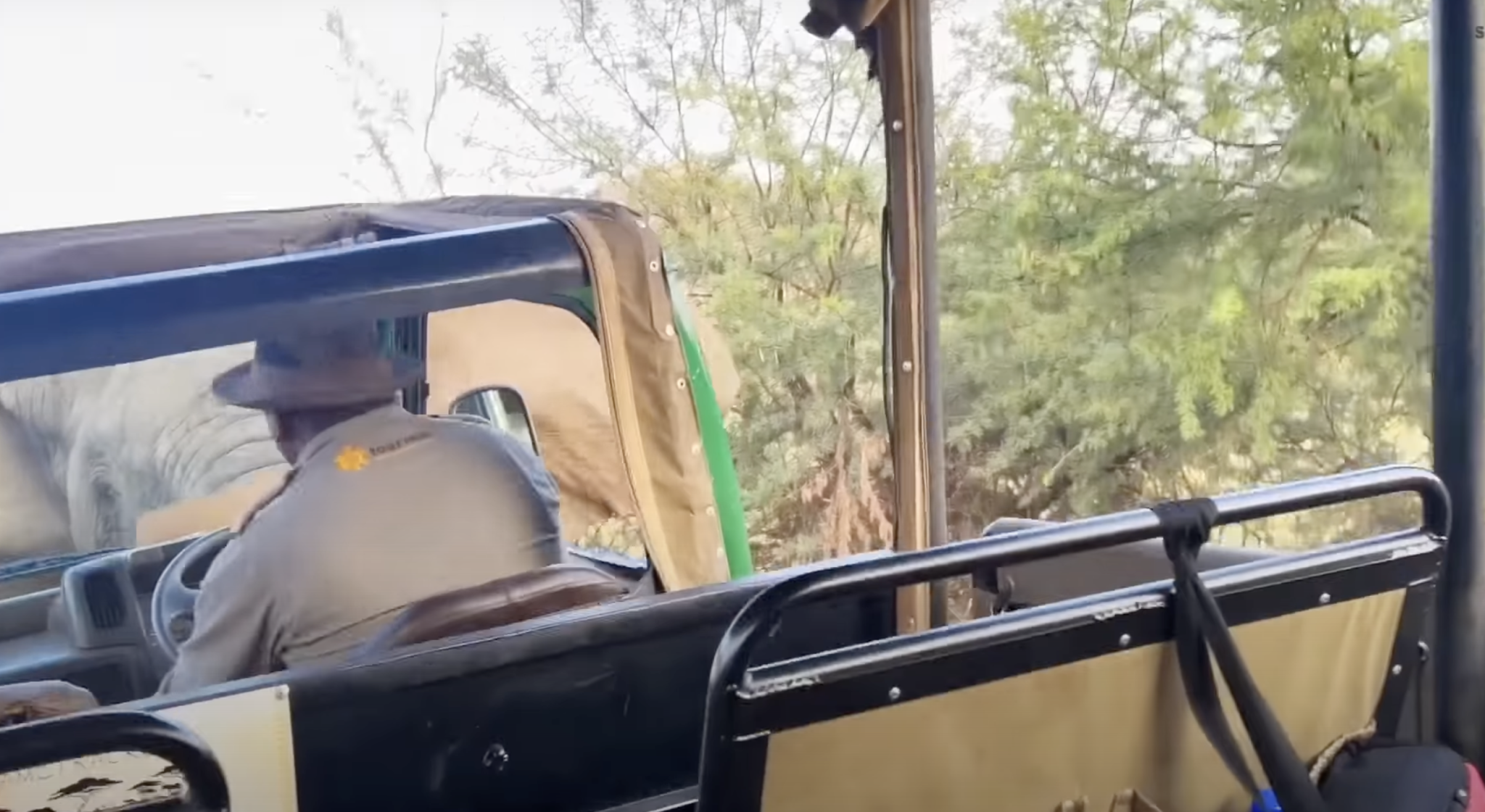 Watch Elephant Pick Up A Truck Load Full Of Tourists