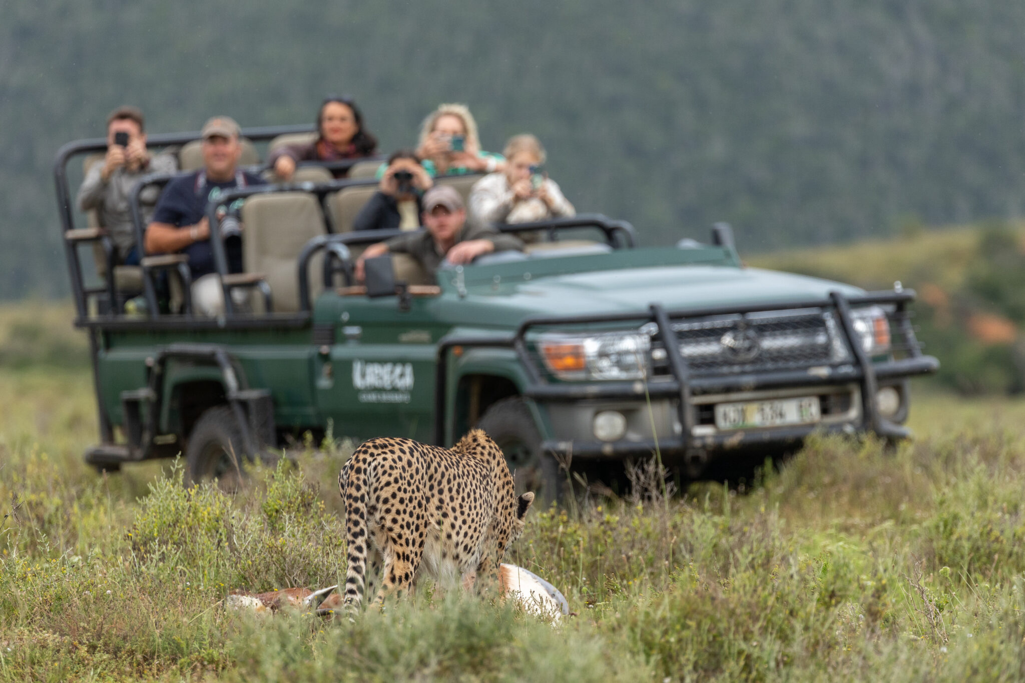 Top Guides Clash at 2025 Safari Guide of the Year Competition