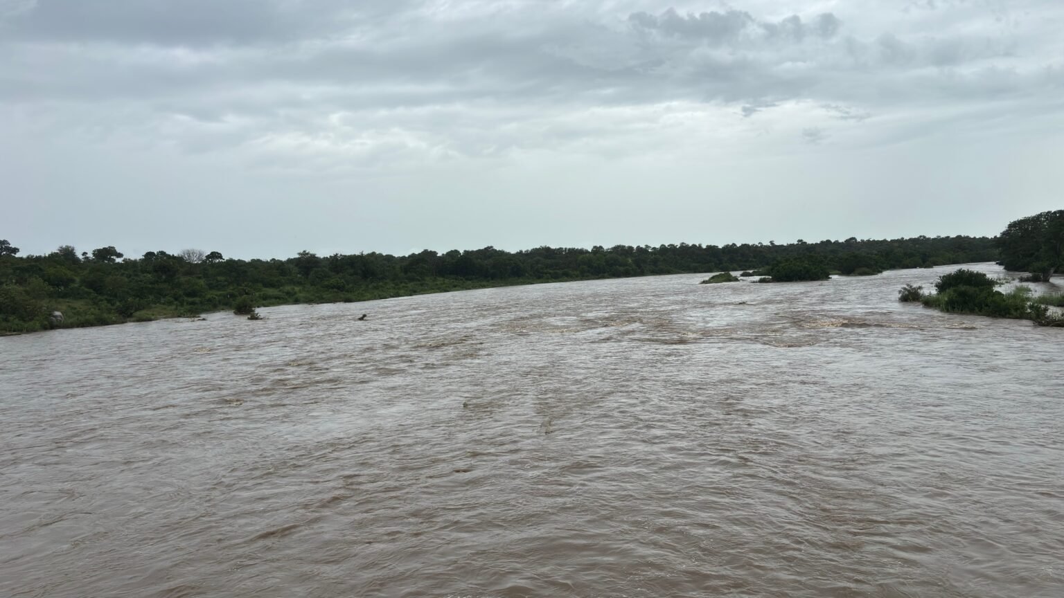 Breaking News: The Kruger National Park Is Flooding